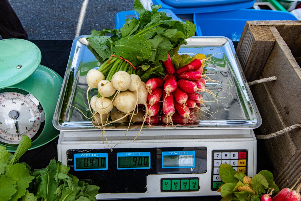 Produce & Market Scales Archives - Chestnut Ridge LLC