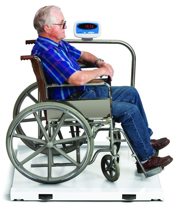 Roll On Wheelchair Scales - Chestnut Ridge LLC
